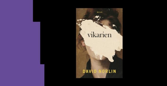 Omslag till boken "Vikarien" av David Norlin. Weyler förlag.